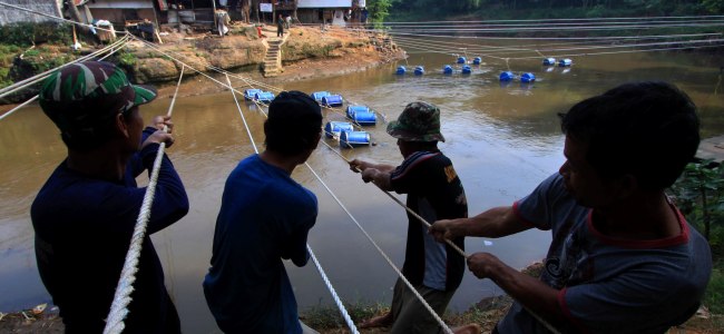 Menarik Jebakan Sampah