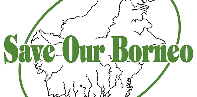 Save Our Borneo Dapat 236.408 Dukungan Untuk Selamatkan Hutan Adan Dayak Tomun
